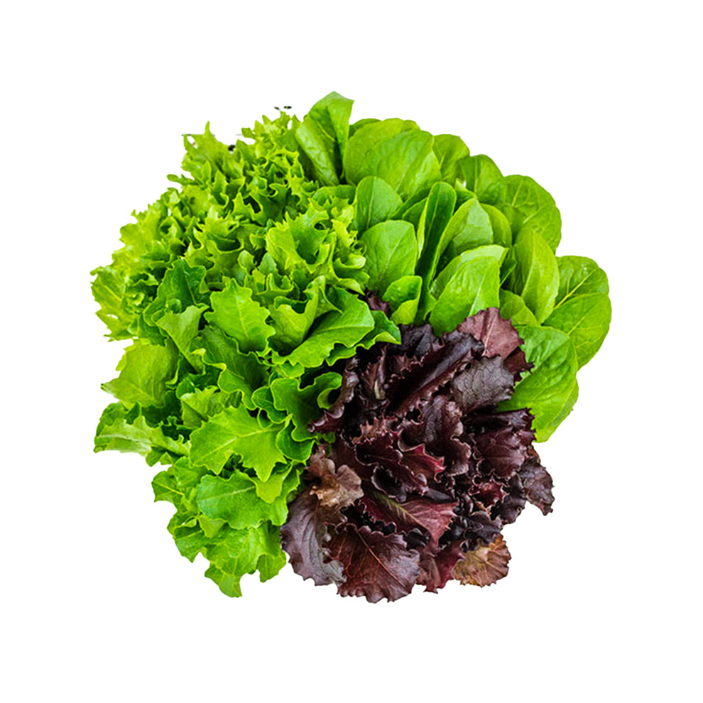 Exotic Lettuce Mix (150g) – Max Green Farms